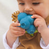 Jerry the Blueberry Baby Teether – Oli&Carol US