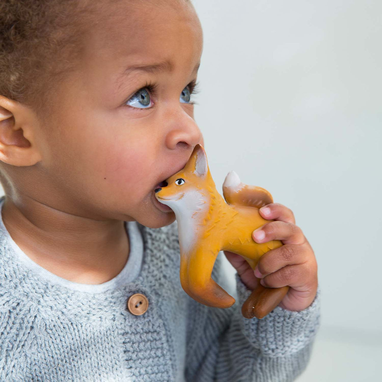 Rob the Fox Baby Teether – Oli&Carol US