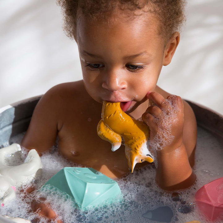 Rob the Fox Baby Teether – Oli&Carol US